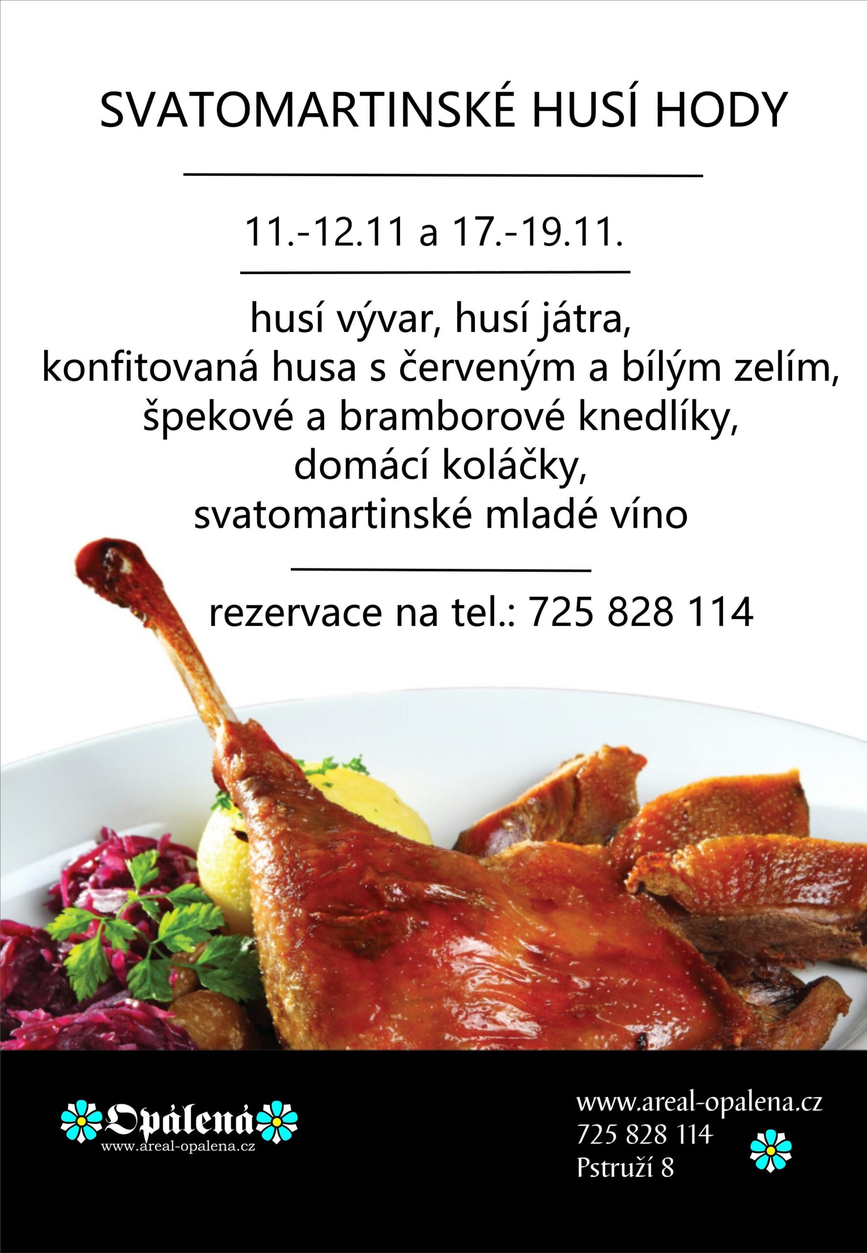 Svatomartinske-husi-hody - Areál Opálená